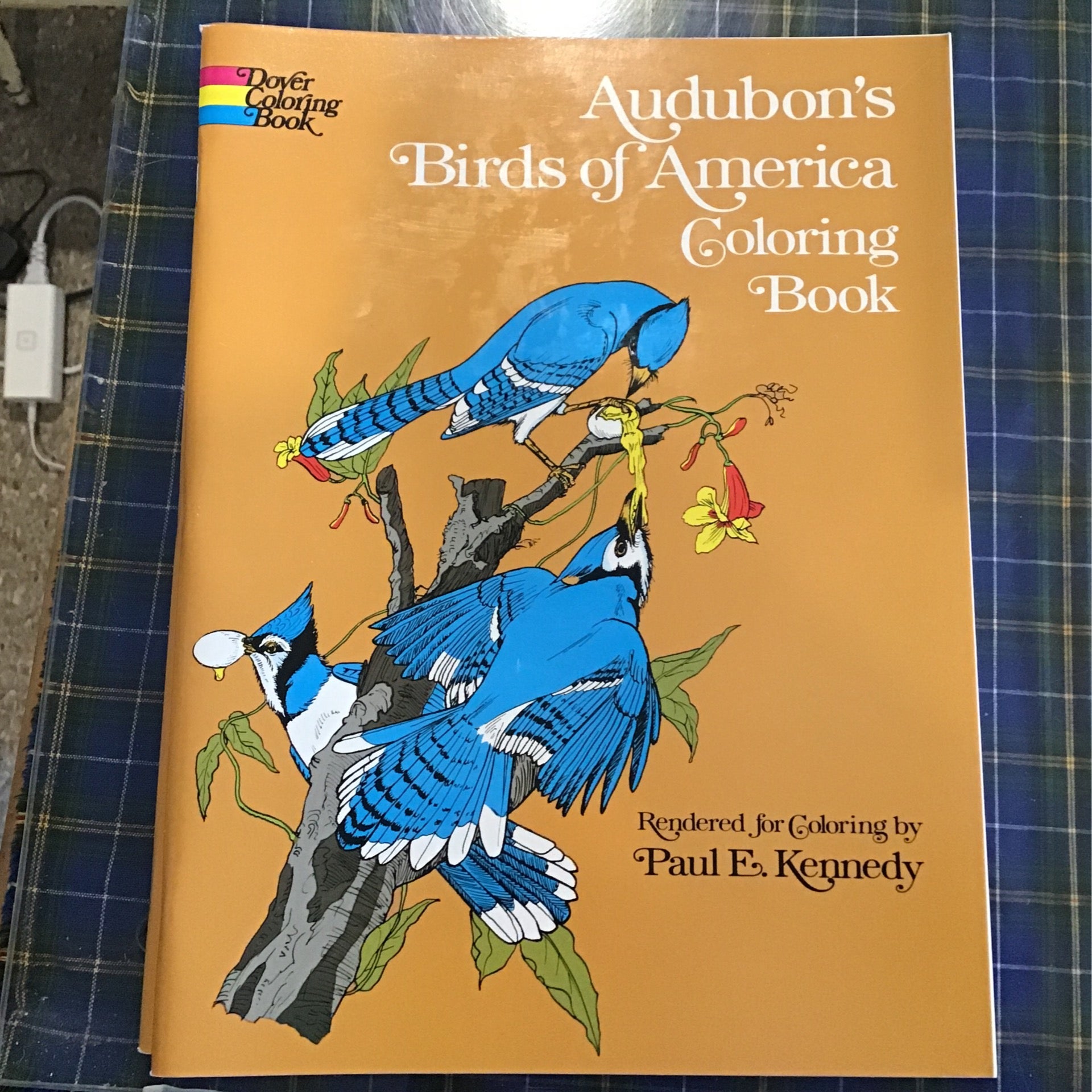Audobon’s Birds Of America Colouring Book | McCulloch House Museum ...